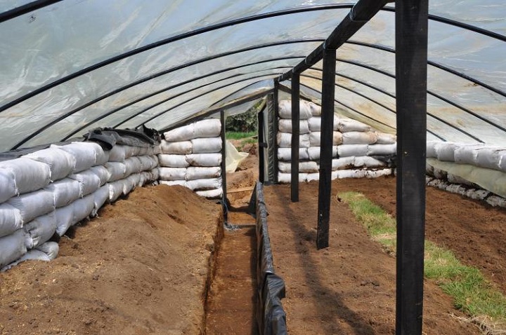 Underground Greenhouse: Uses and Benefits • Insteading